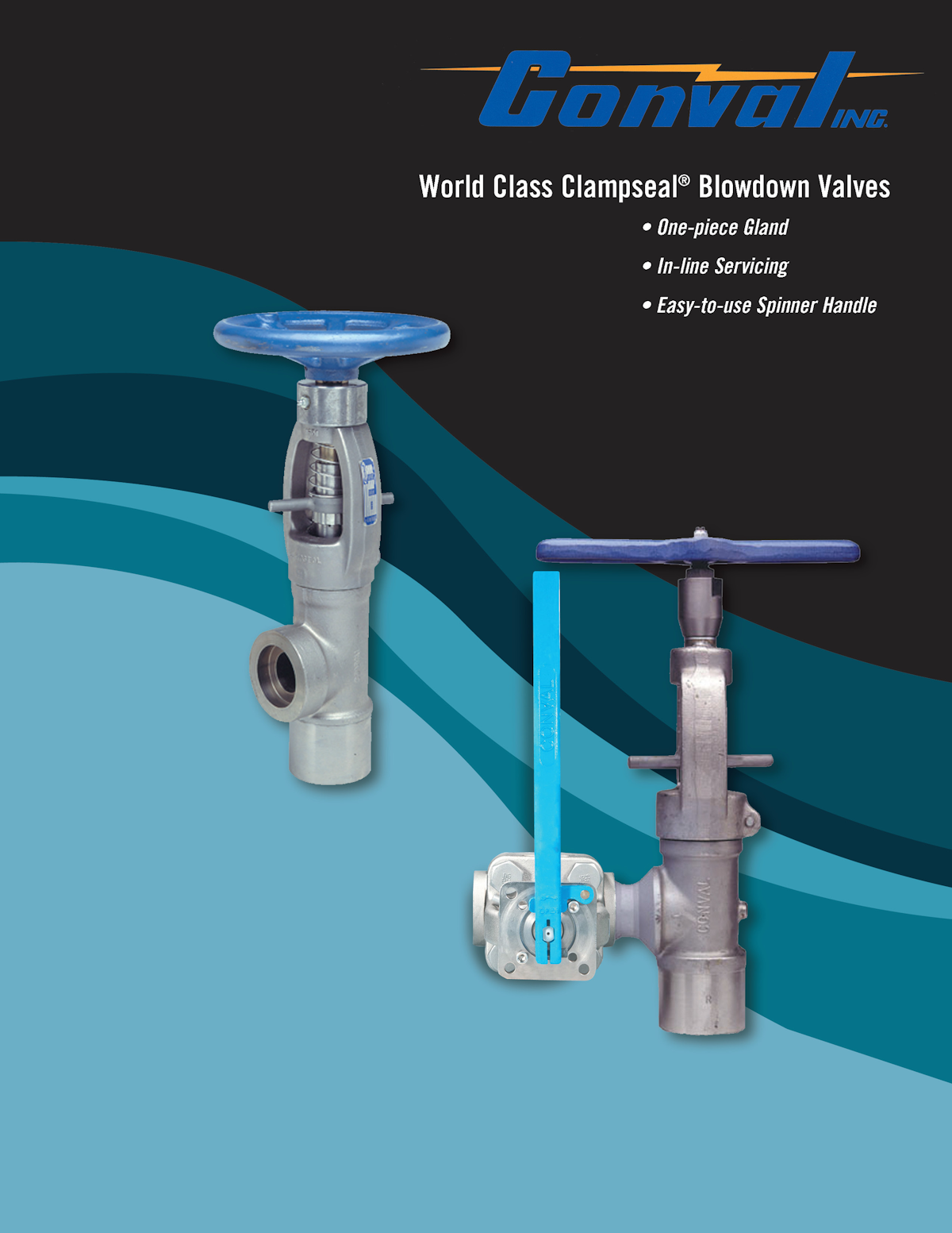 Blowdown Valves | Industrial Distribution